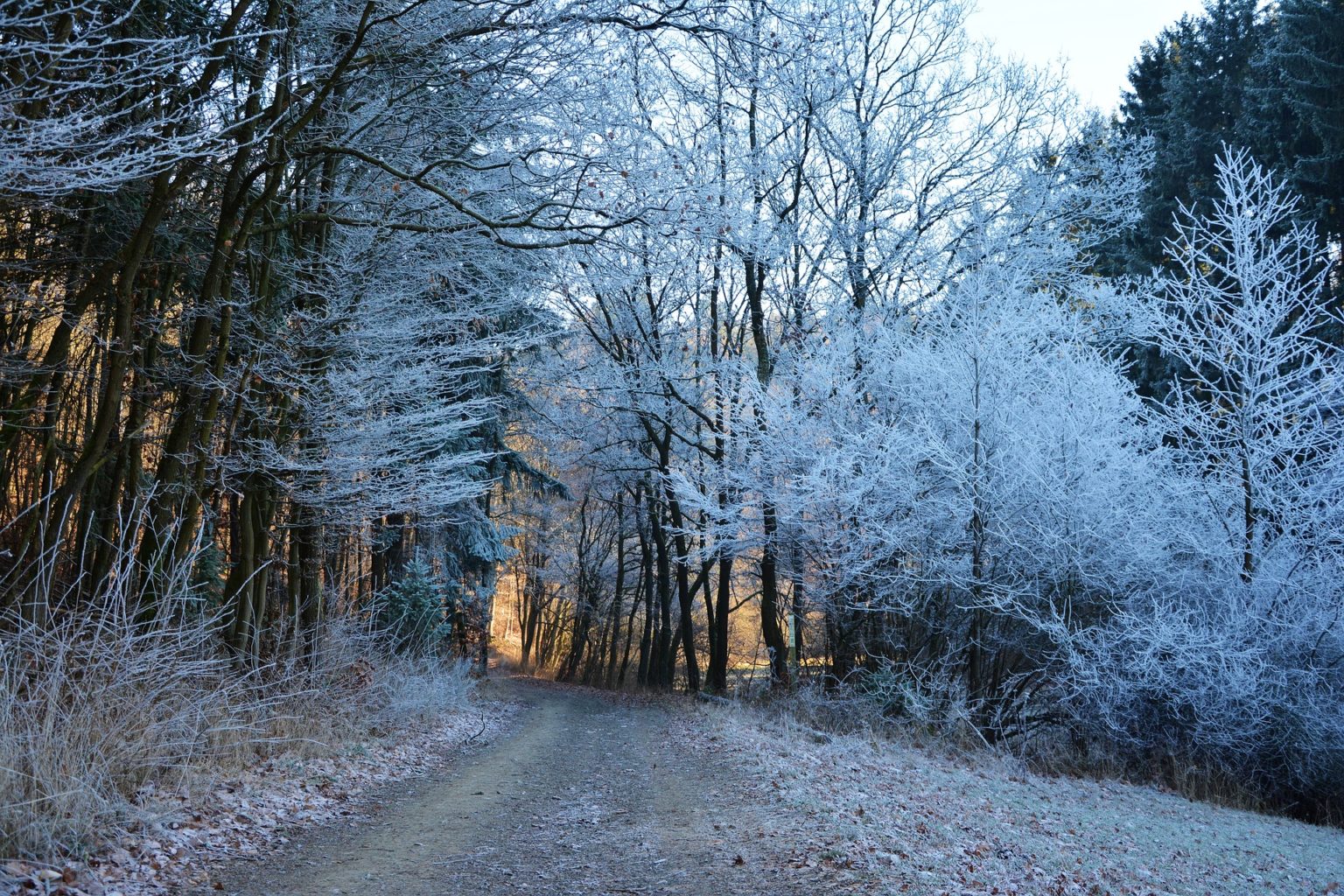 Conditions plus hivernales en Lorraine entre dimanche et lundi – Météo Lor'