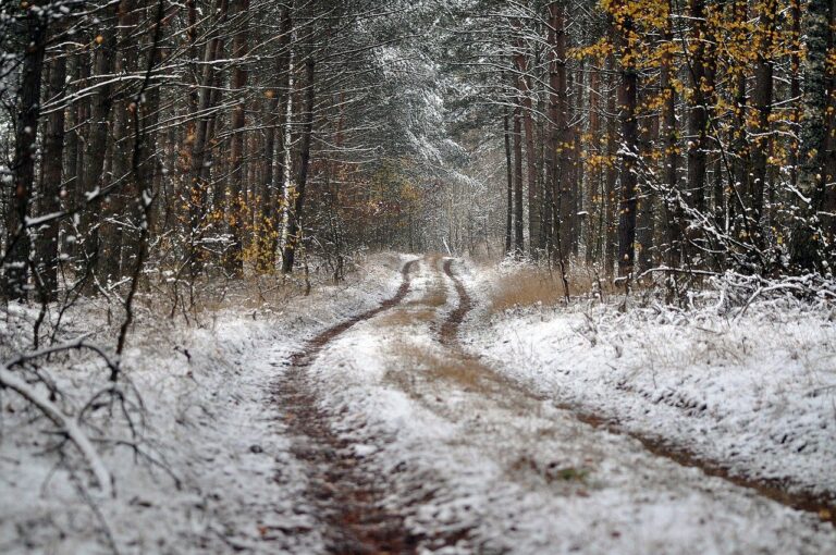 Lorraine : vers un risque de neige en plaine – Météo Lor'